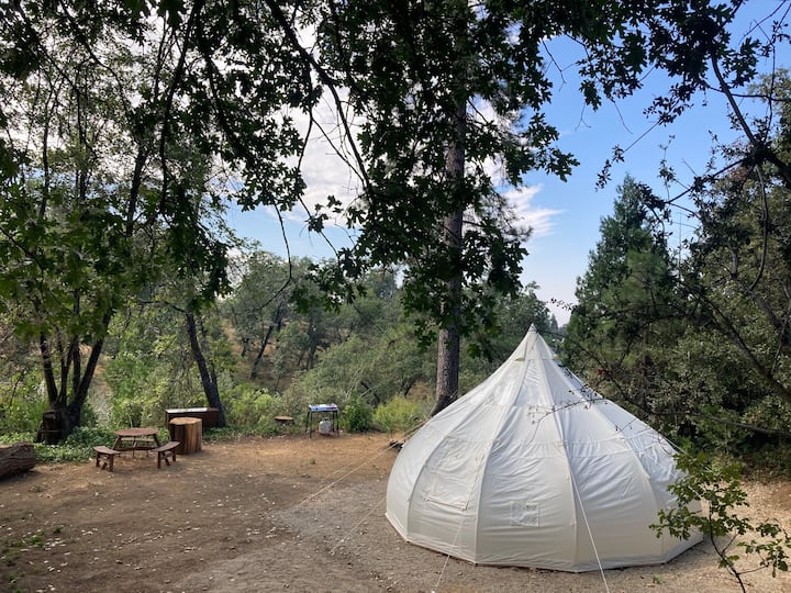 Stargazer Camp - Sequoia National Park