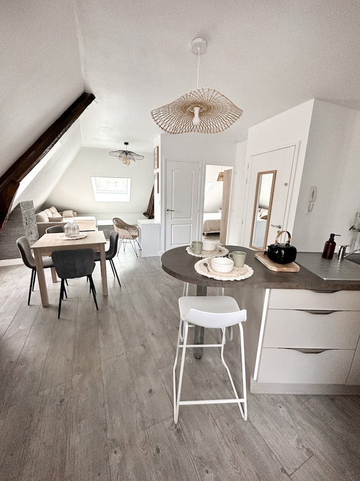 Charmant Duplex En Centre-ville - Brive-la-Gaillarde