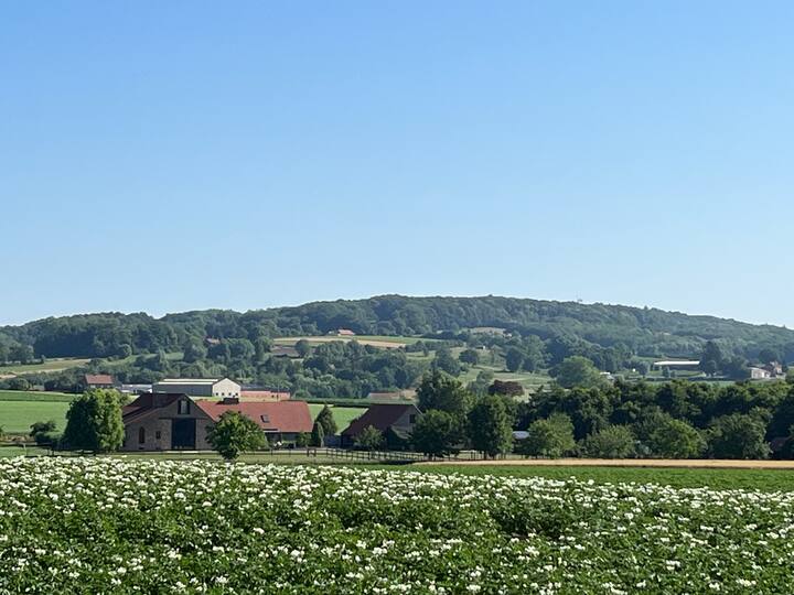 Vakantiewoning 2 Ter Douve - Heuvelland