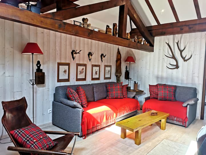 Cosy Spacious Duplex Apartment - Verchaix