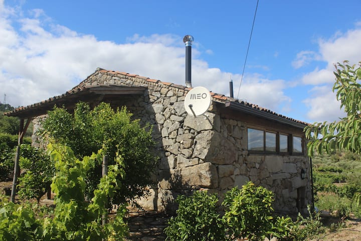Penedo House - 1 Bedroom - Armamar
