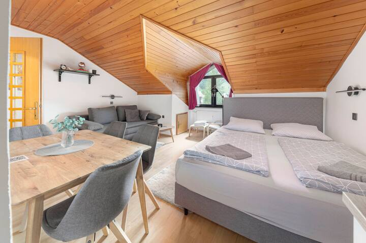 Apartma Alpine Space, Kranjska Gora - Center - Kranjska Gora