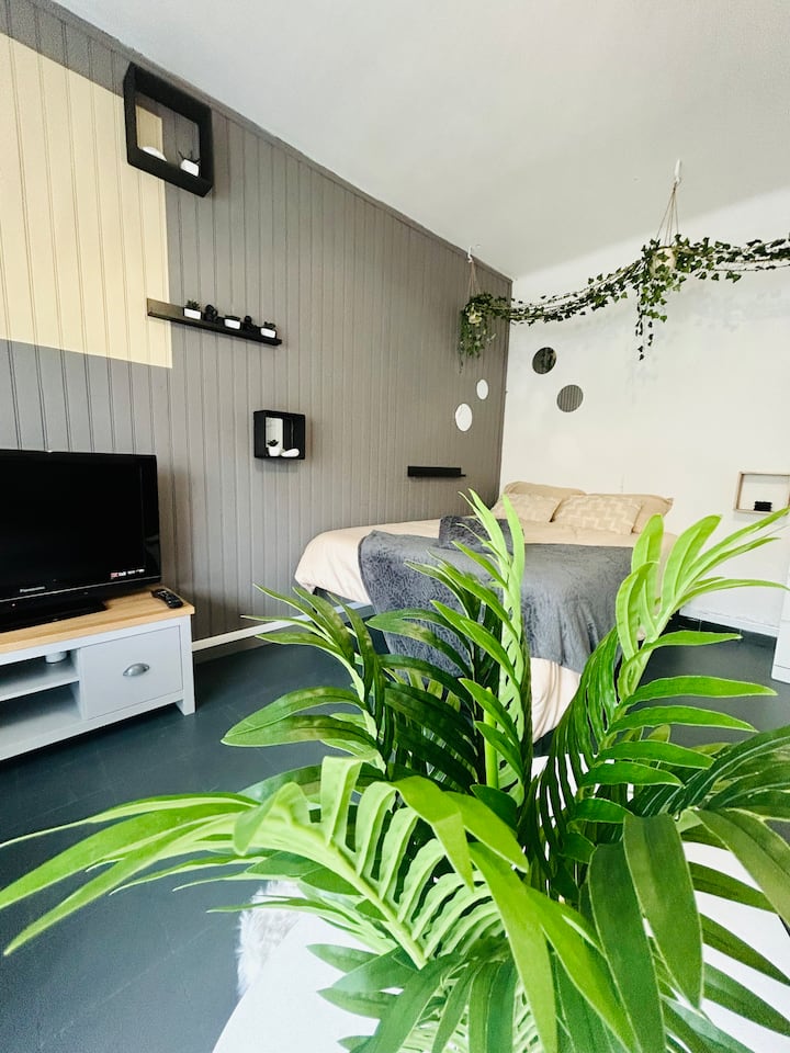⁂Cosy Proche Mer Parking Privé Clim Wifi 2 à 4p⁂ - Canet-en-Roussillon