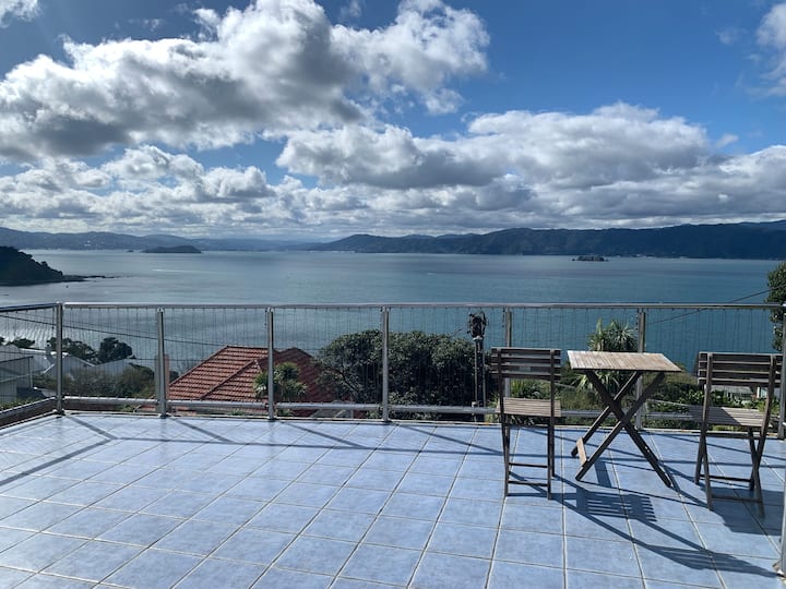 Seaview In Wellington, Close To Airport - Wellington