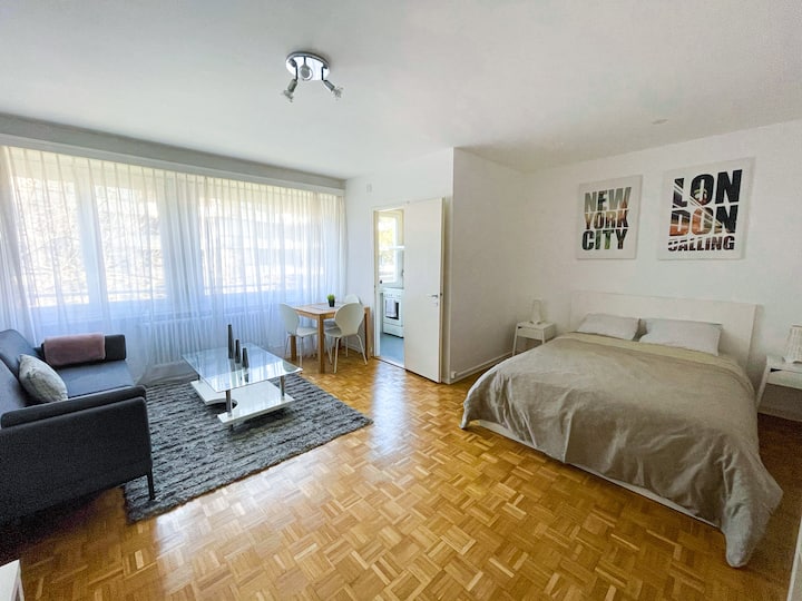 Studio Apartment In Champel Area - Genève