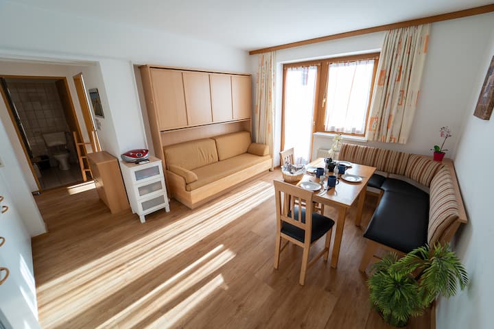 Komfort Apartment - Gratis E-bike! - Saalfelden