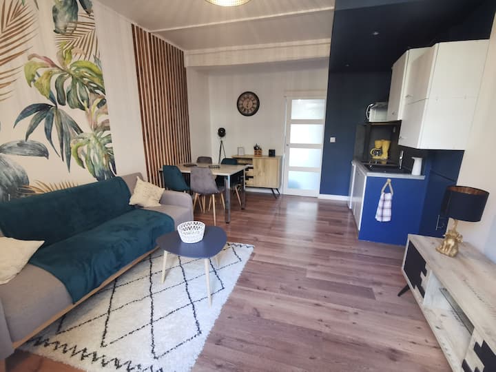 T2 Cosy Au Calme - Angers