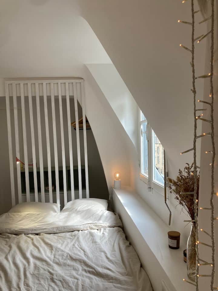 Cosy, Centre Ville, Vue Sur La Piscine St-georges - Rennes