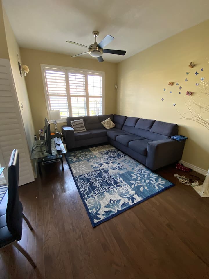 One Beautiful Room In Brantford - Brantford