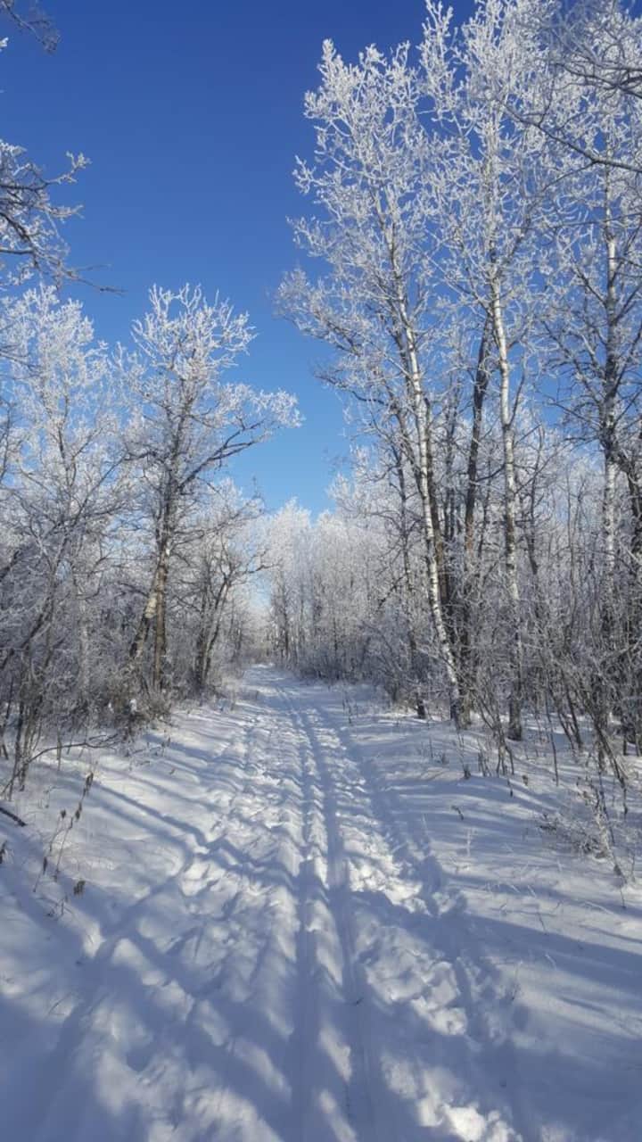 Wildpath Refuge (Walk-in/ski-in Cabin) - 매니토바