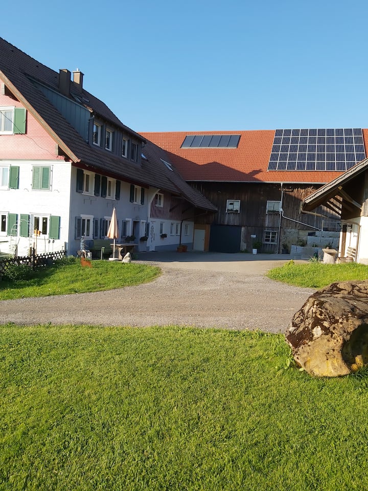 Ferienwohnung Flachs Og - Scheidegg