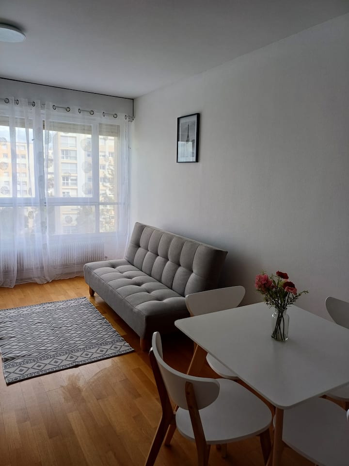 Appartement Refait à Neuf - Laxou