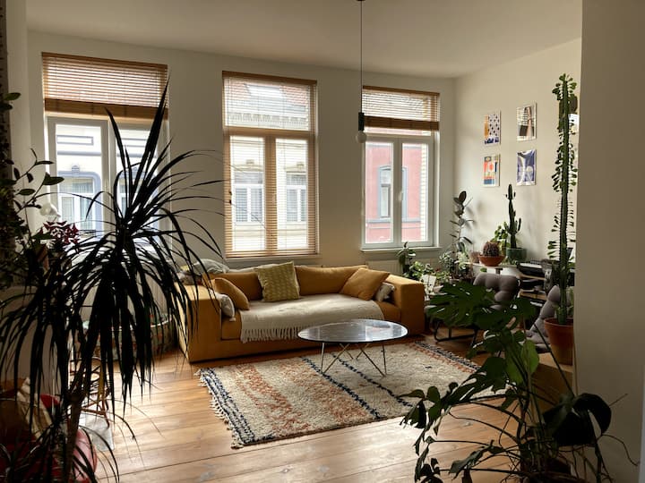 Appartement Lumineux - Brussels