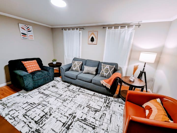 Modern New Designer 2 Br Unit-near Univ/hosp - Syracuse, NY