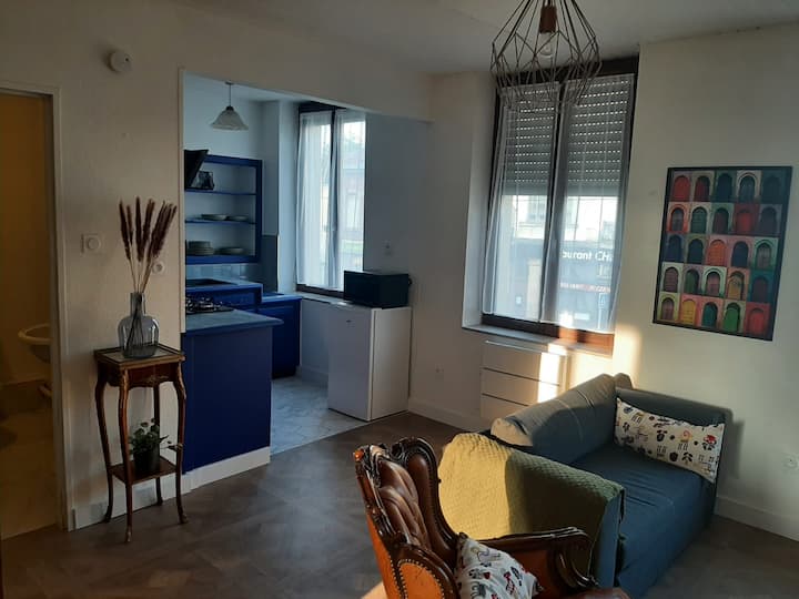 Très Bel Appartement, 1 Chambre. Metz - Metz