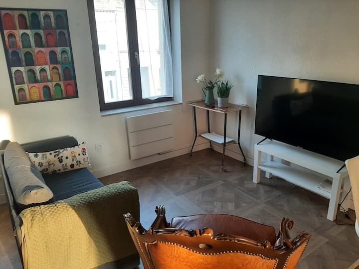 Très Bel Appartement, 1 Chambre. Metz - Metz