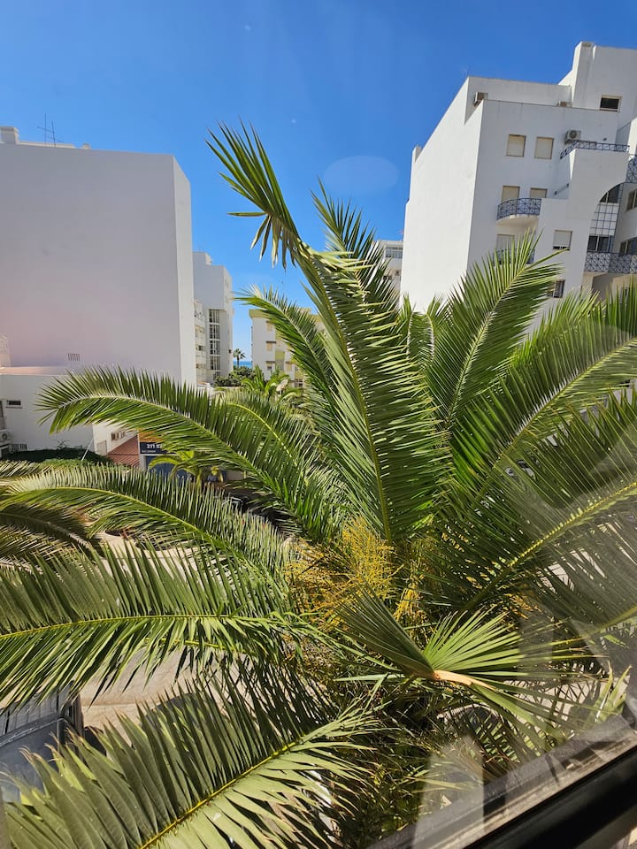 Rosa&mar R05 - Armação de Pêra