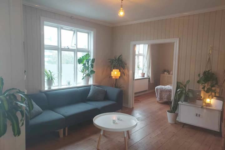 Charming Downtown Apartment - Reykjavík