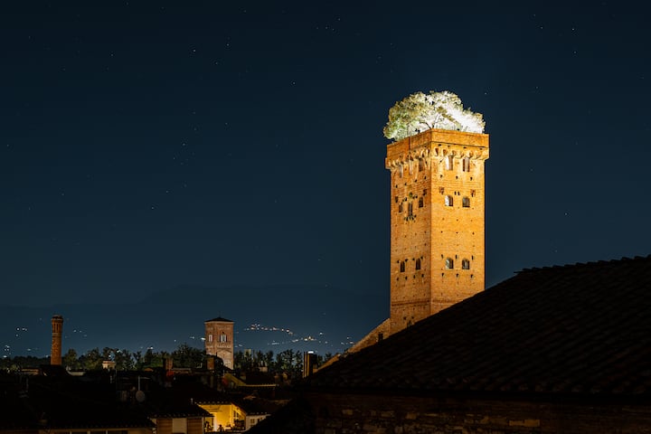 Residenza Altana - Lucca