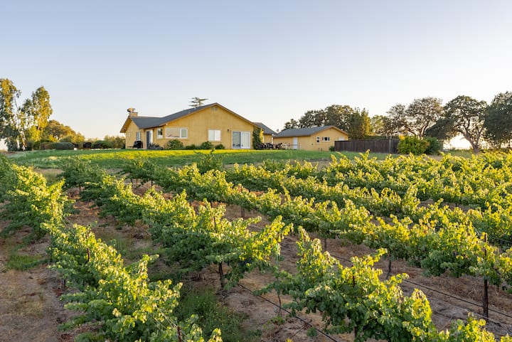 Wild Vines - Amazing Vineyard Views - San Miguel, CA