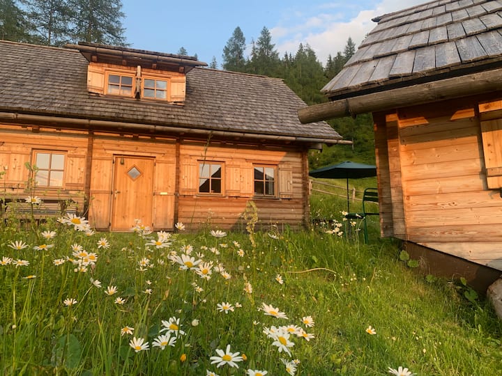 Exklusive Almhütte In Alleinlage - Gemeinde Ramsau am Dachstein
