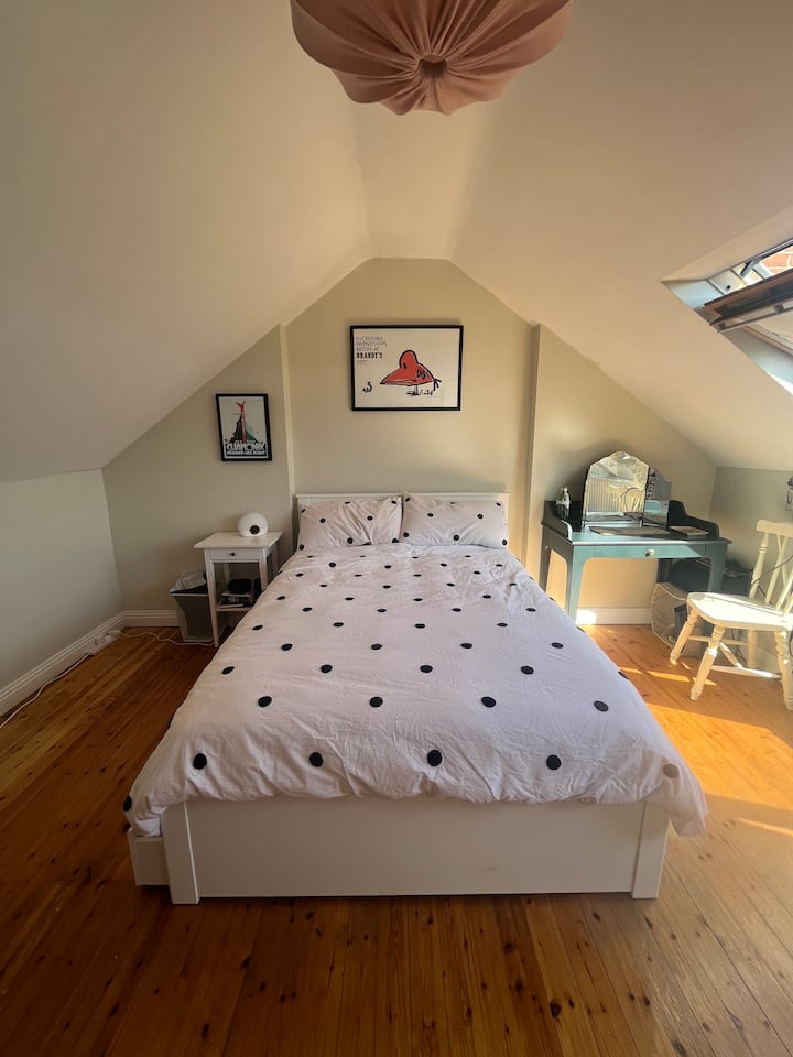 Bright, Spacious Double Room - Dublin