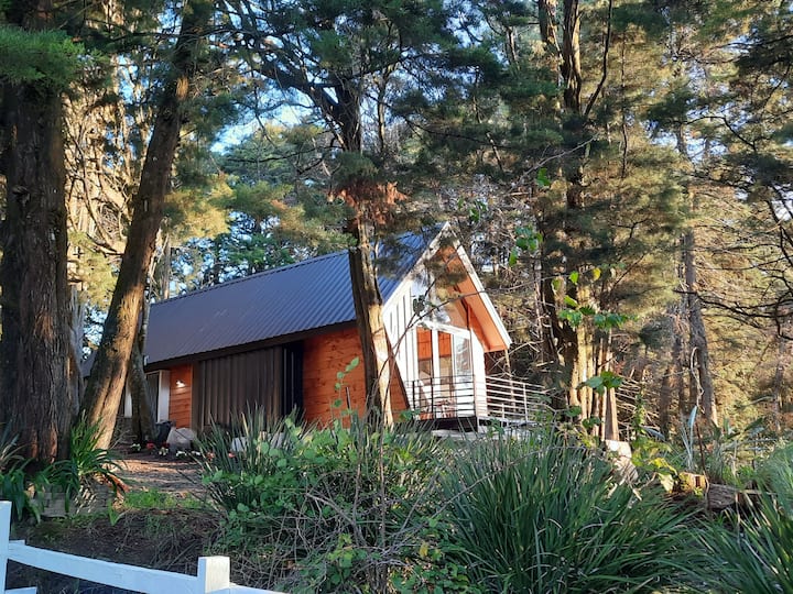 Modern Chalet With Private Deck And Beautiful View - Bajos del Toro