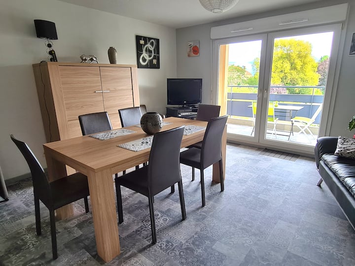 Appartement Avec Terrasse. - Nancy