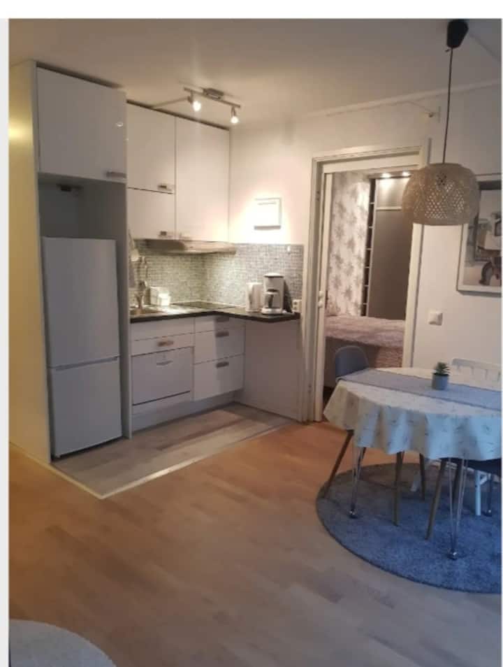 Mysig Lägenhet Med Balkong. - Stoccolma