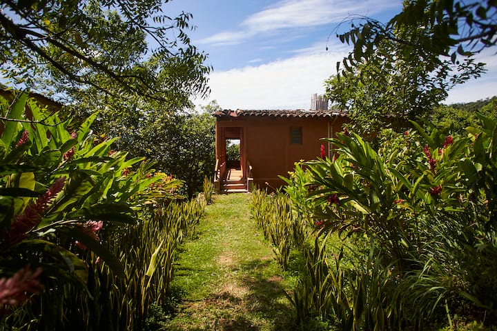 Oaxaca Jungle Cabins 9 - Santa María Huatulco