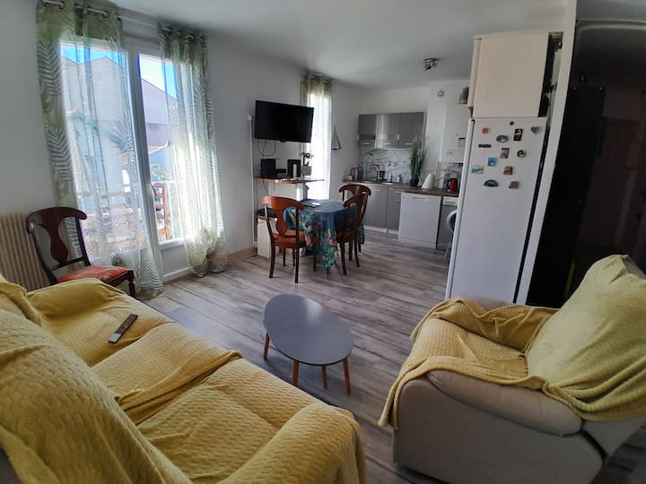 Chambre Dans Appartement Lumineux - Blagnac