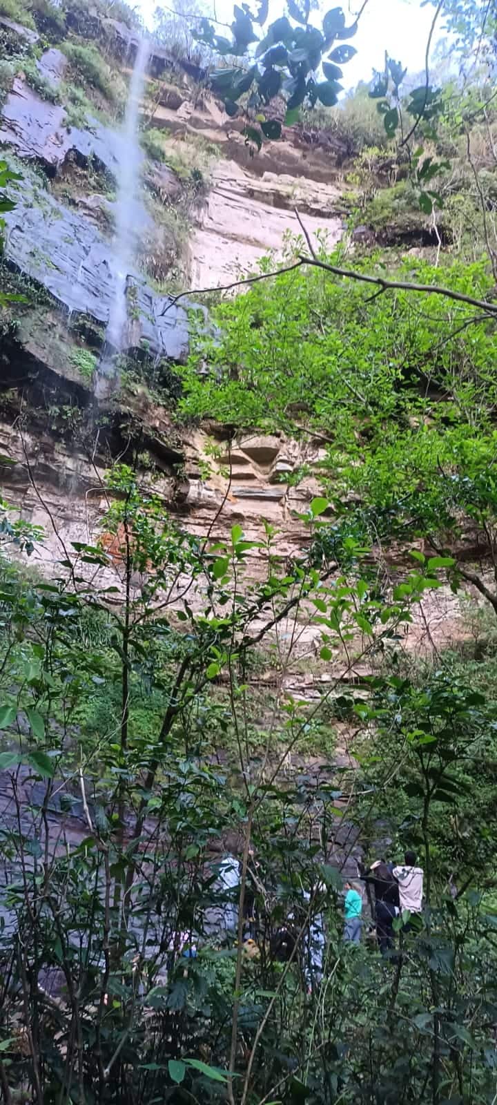 Sitio Em Jordão Alto - Nova Veneza