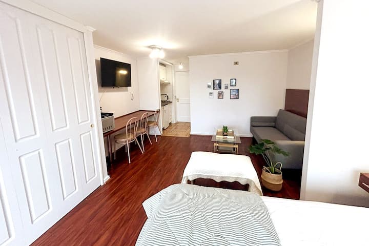 Cozy And Central Apartment, Pedro De Valdivia - Providencia