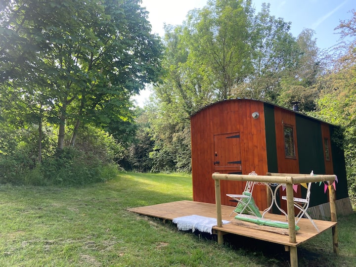 Luxury Shepherds Hut . - Belper