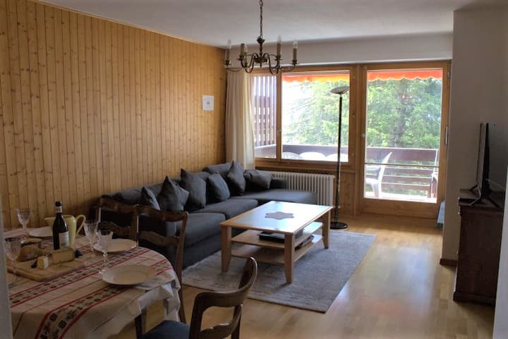 Bel Appartement Idéalement Situé - Anzère