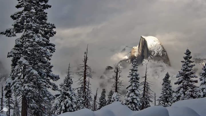 Creekside Cabin In Amazing Location Near Yosemite. - 요세미티 국립공원