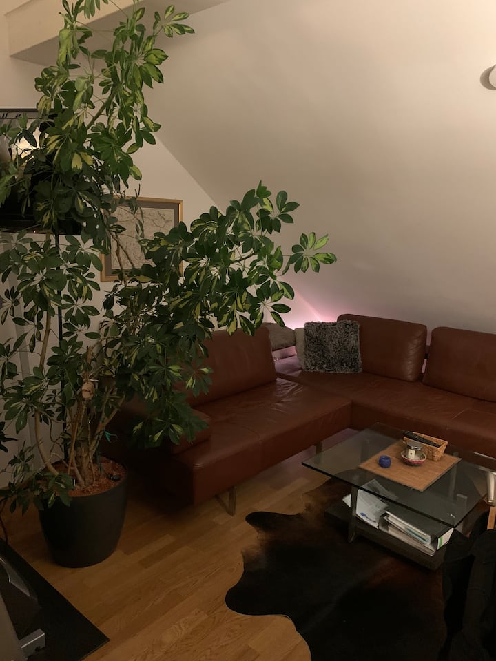 Dachstudio In Münchner Vorort - Planegg