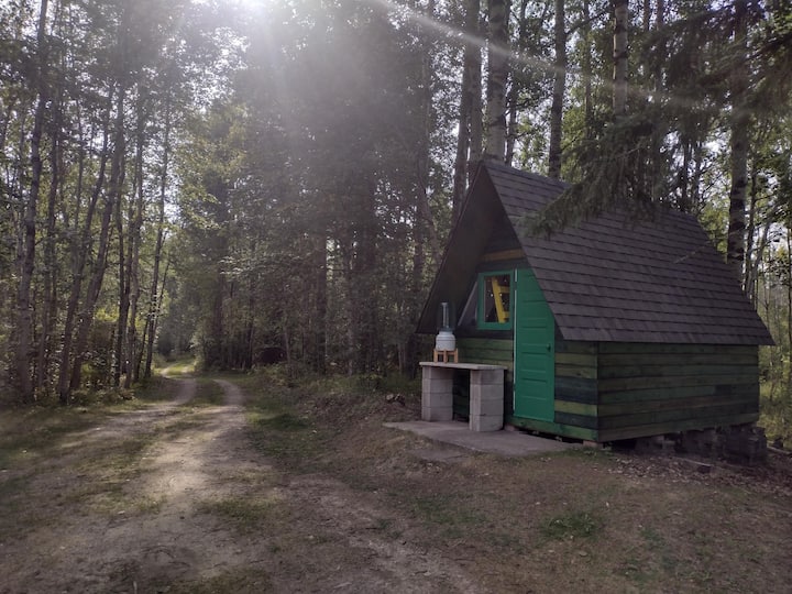 A Frame In Forest Paradise