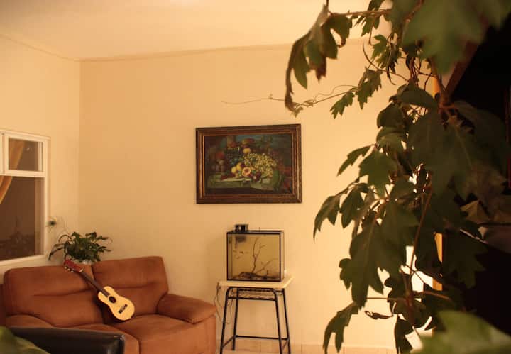 Departamento Céntrico (Tepetapa) - Guanajuato