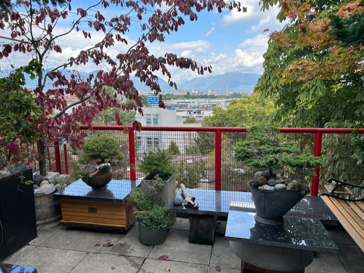 Artist Loft, Mountain Views, In Heart Of City! - Vancouver