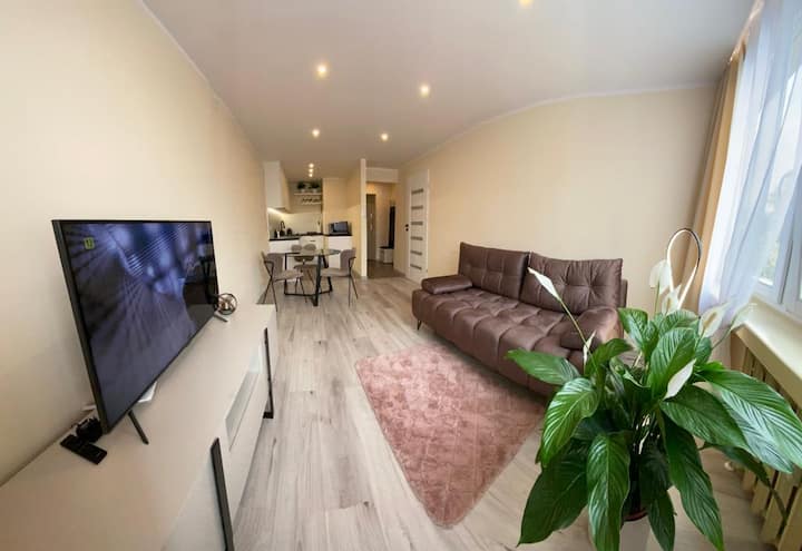 Central Apartament Katowice - Katowice