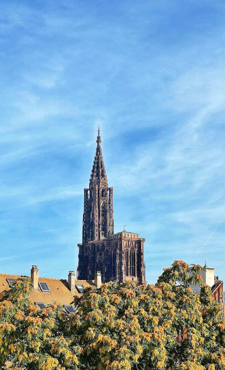 Hyper Centre Vue Cathédrale - Strasbourg