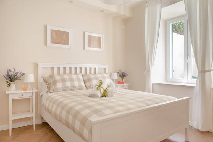 Scevola Terrace Apartment - روما