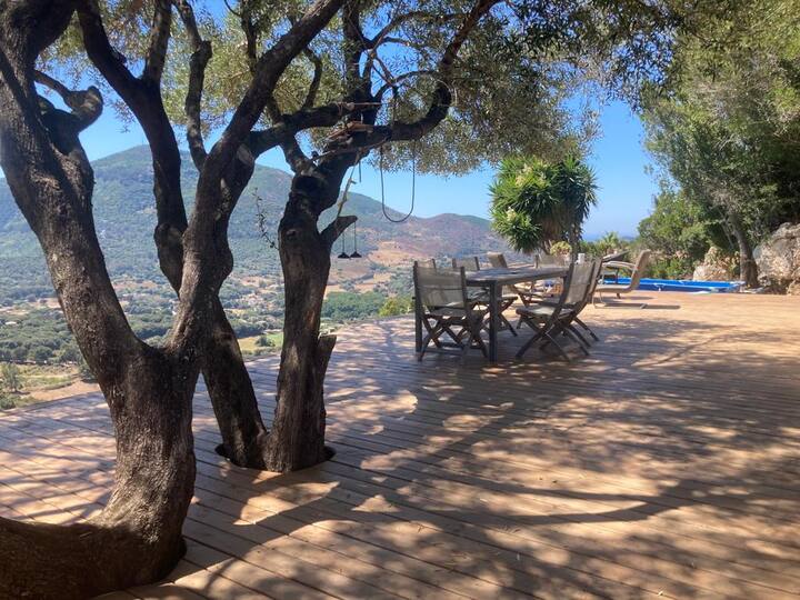 Chalet - Ajaccio