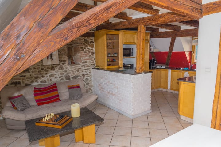 Appartement Alsacien Centre Ville - Ribeauvillé