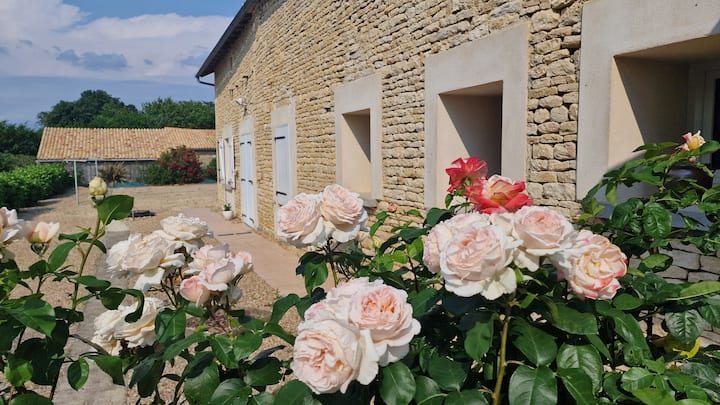 Gite Les Mésanges En Campagne - Deux-Sèvres