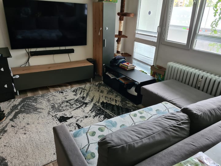 Whole Appartment Kosice Center - Košice