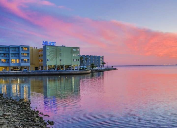 1bed 1bath W Balcony View - Tampa, FL