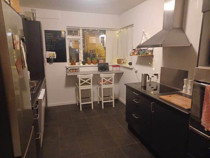 Cozy Studio Apartment Downtown - Reykjavík