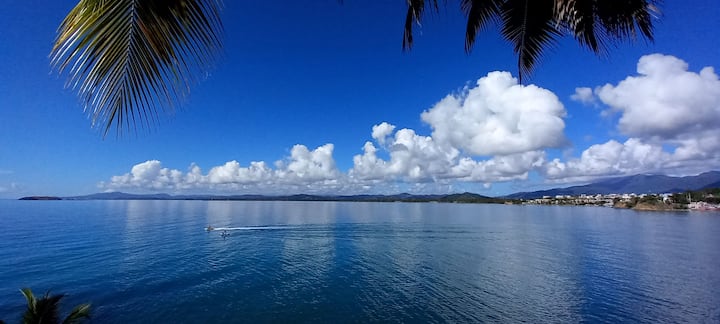 Waterfront, Walk To Restaurants! - Naguabo